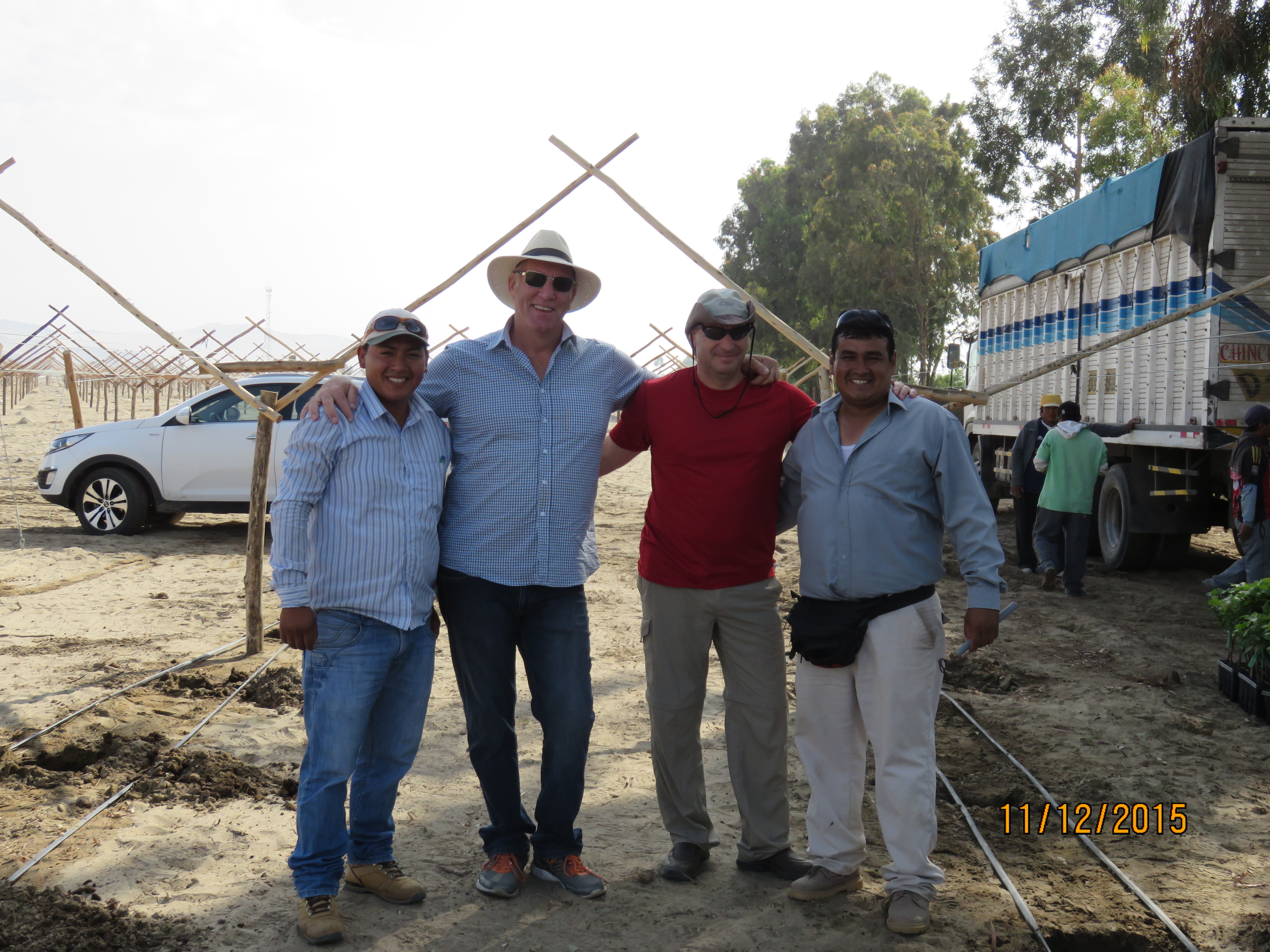 DSM Breaks Ground on Table Grape Vineyard - Direct Source Marketing