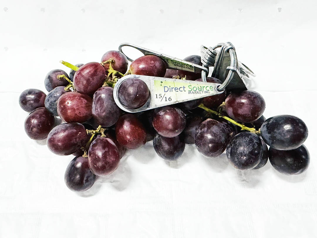 Direct Source Marketing